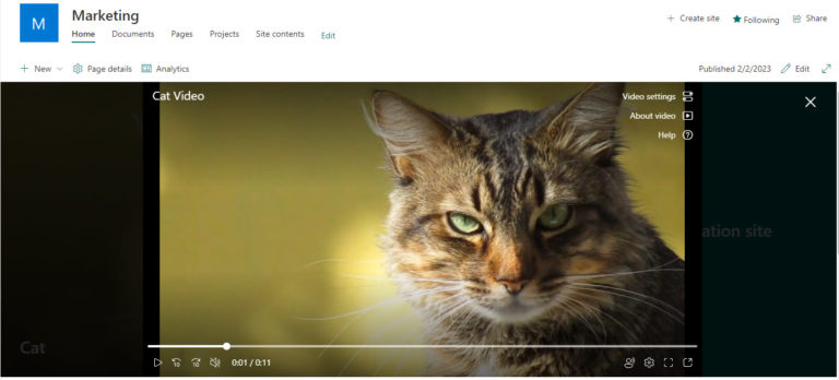 How to embed Stream Videos on a SharePoint Page | SharePoint Maven