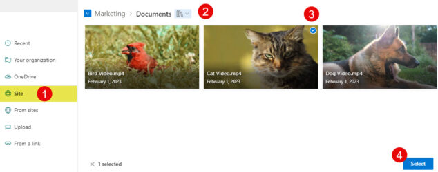 How to add videos to the SharePoint page using the New Stream Web Part ...
