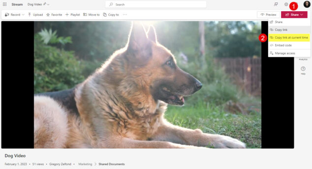 How to share a video link to a specific time within the video ...